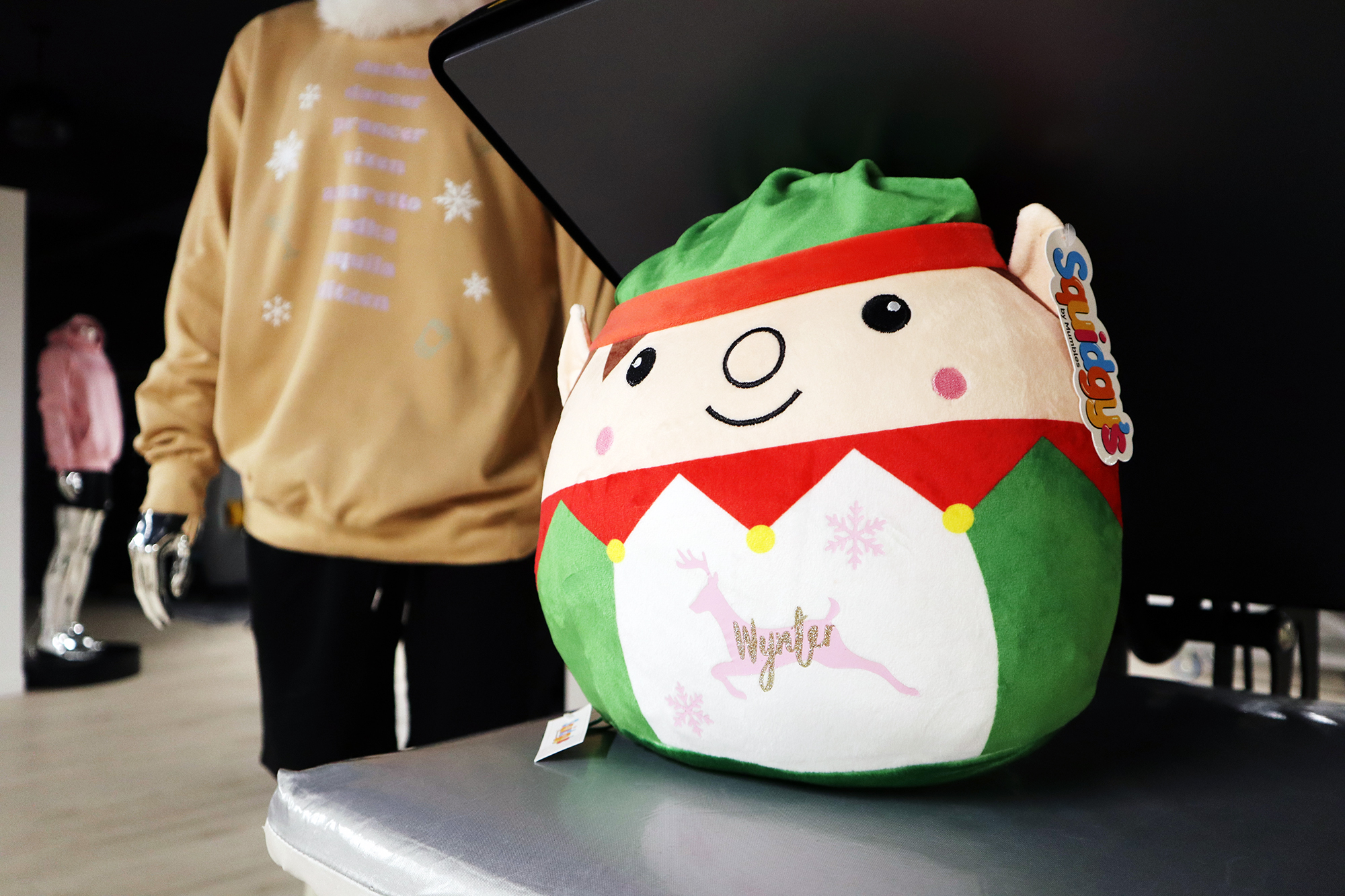 How To Heat Print Custom Plushie Teddies